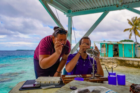 Kora Pearls | Genuine Cook Islands Black Pearl Jewellery