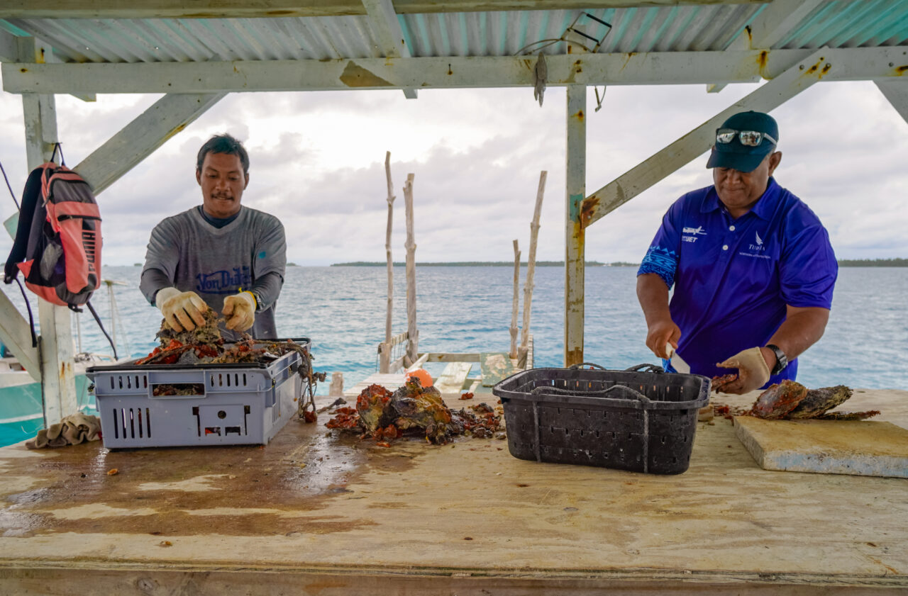 Kora Pearls | Genuine Cook Islands Black Pearl Jewellery